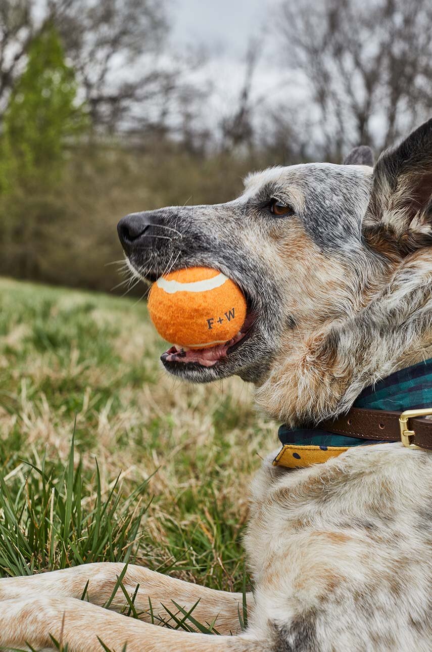 Field + Wander kutya labda Fetch Balls 3 db | ANSWEAR.hu