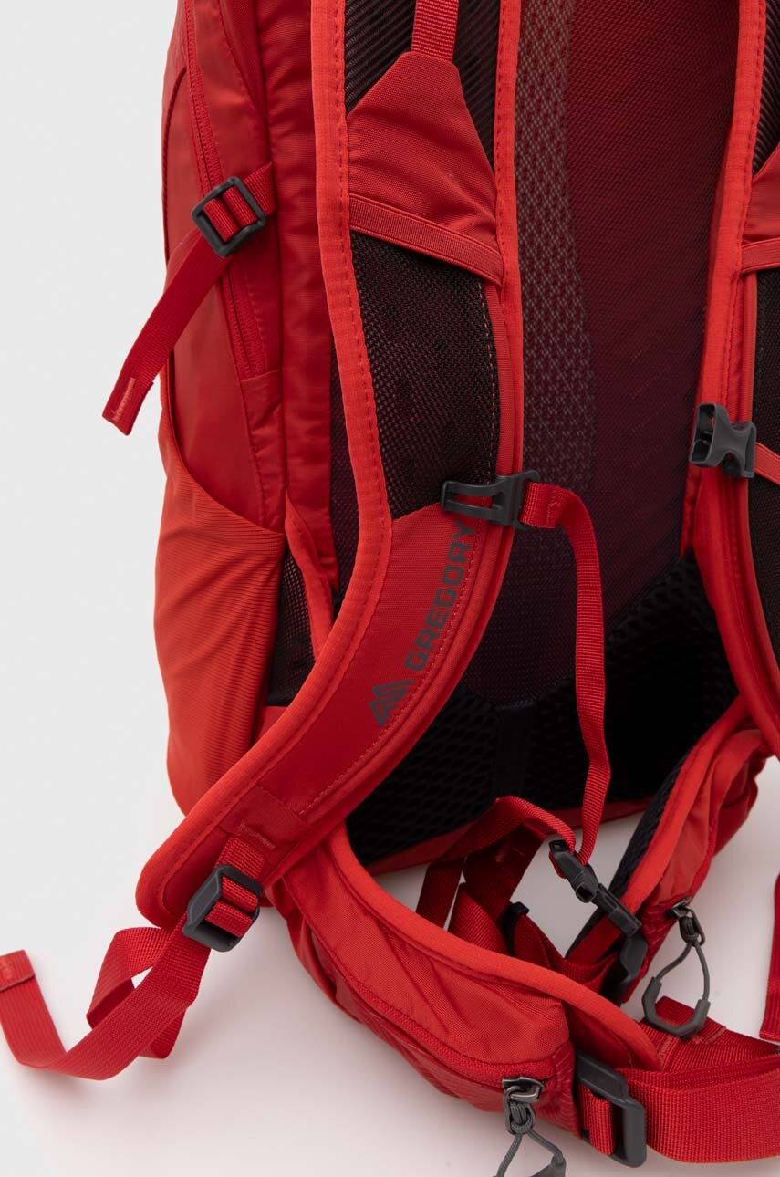 Рюкзак Gregory Miko 15 чоловічий колір червоний великий з принтом ...