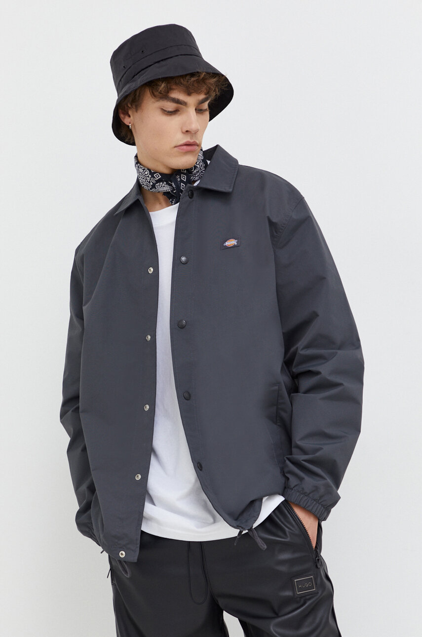 Dickies jacket men's gray color | buy on PRM