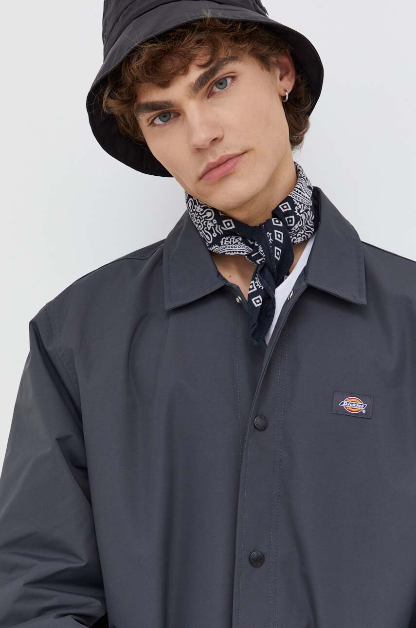 Dickies jacket men's gray color | buy on PRM