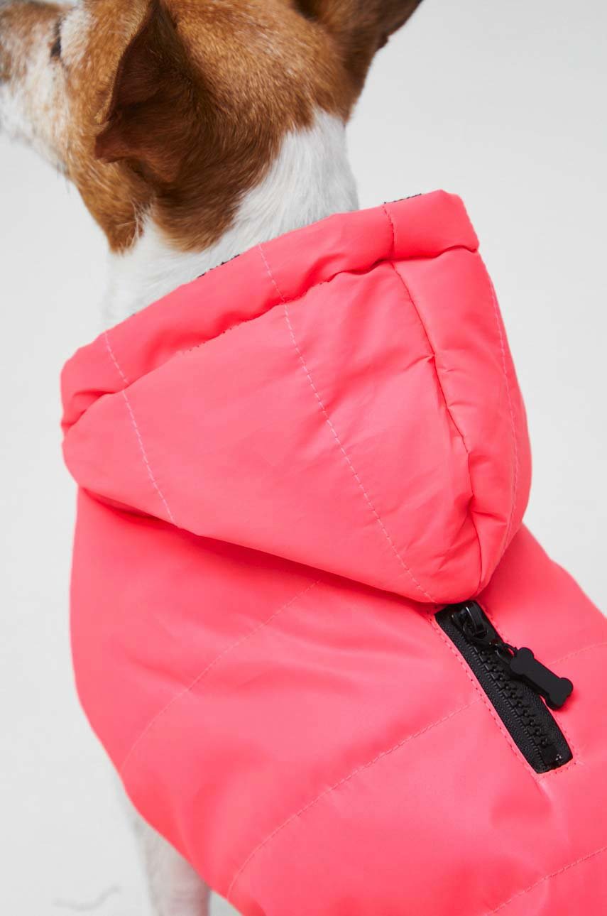 Bunda pre psa Medicine | ANSWEAR.sk