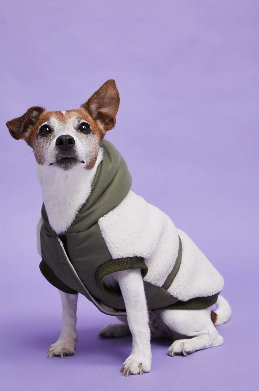 Bunda pre psa Medicine | ANSWEAR.sk