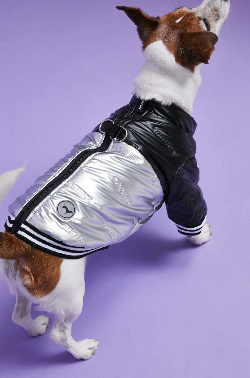 Bunda pre psa Medicine | ANSWEAR.sk