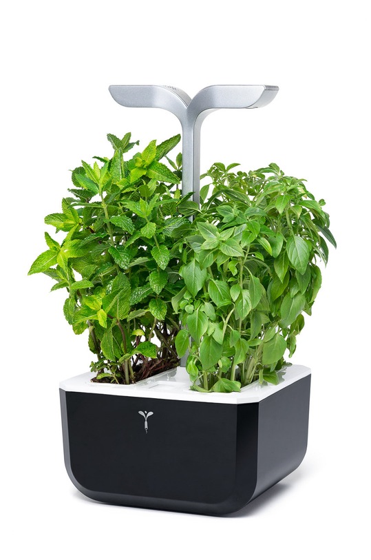 Veritable - Gradina de casa autonoma Exky Smart | ANSWEAR.ro